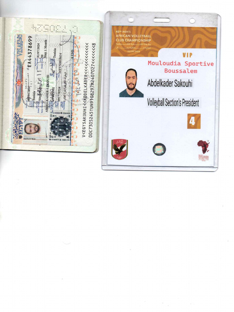 Visa Et Badge Participation | PDF