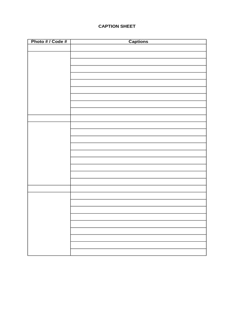 Caption Sheet | PDF