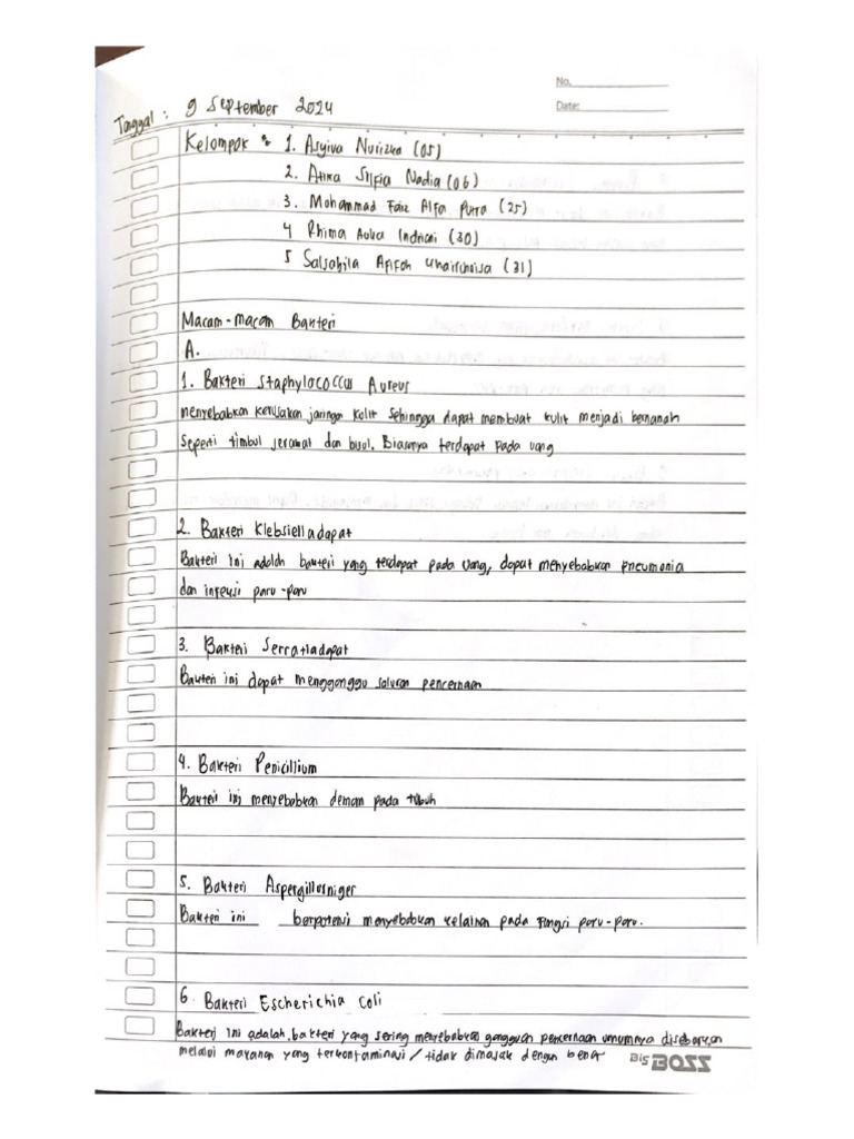 Macam-macam Bakteri (A) | PDF