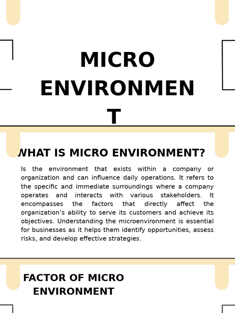 Micro and Macro Environment Overview | PDF
