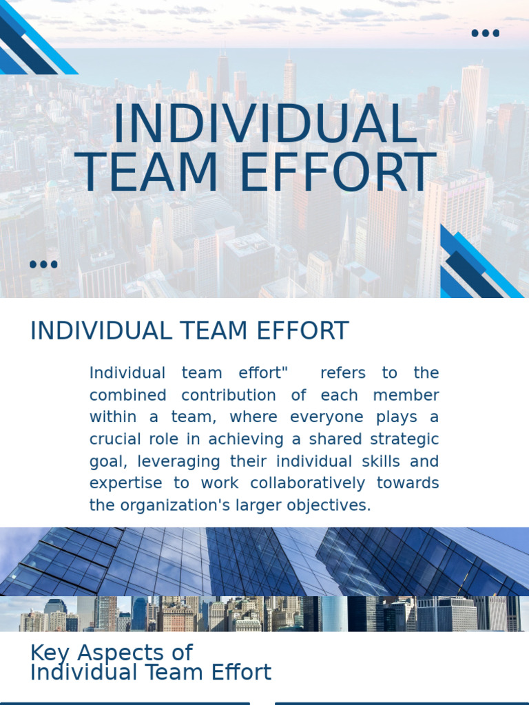 Individual Team Effort | PDF