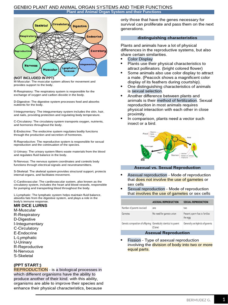02 - Plant and Animal Organ Systems and Their Functions | PDF | Immune System | Respiratory System