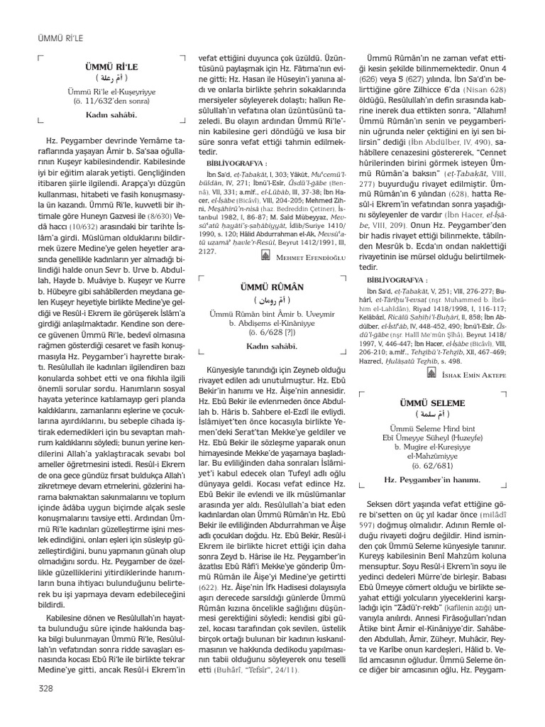 UMMU RiLE - 42 | PDF