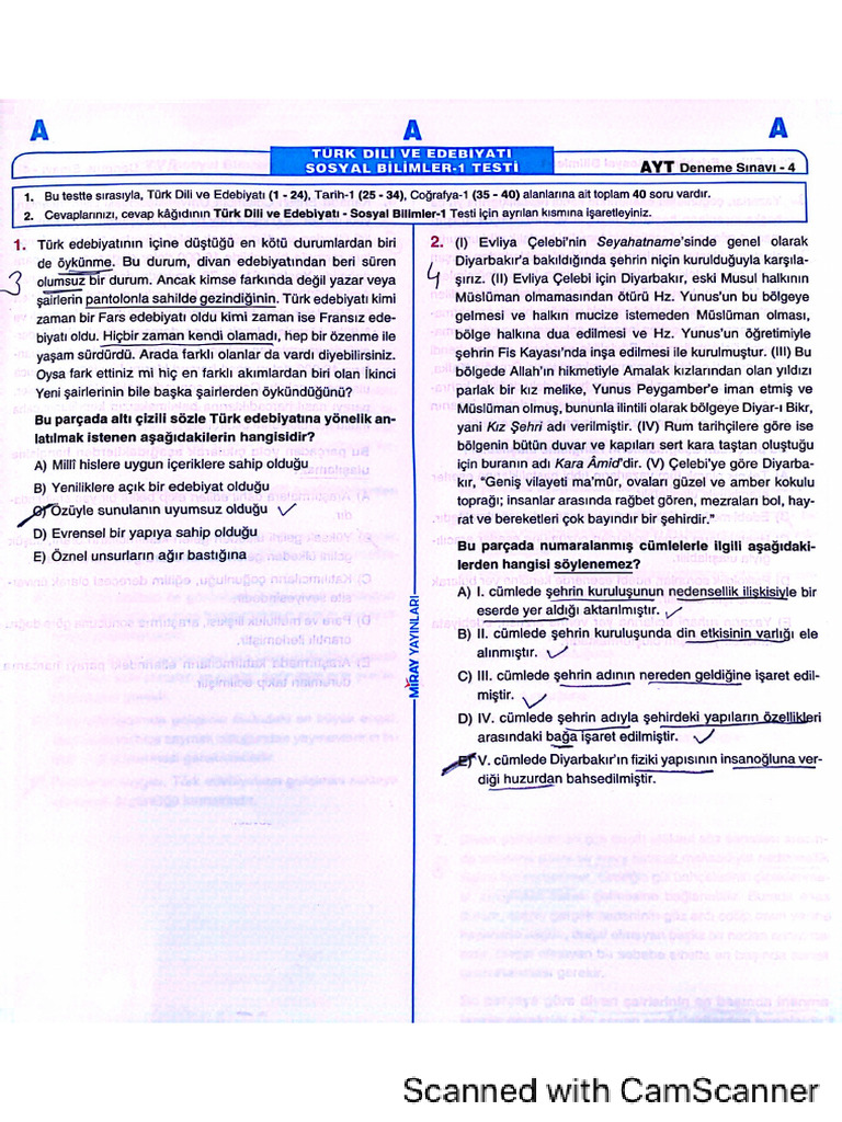 MİRAY AYT TDE | PDF