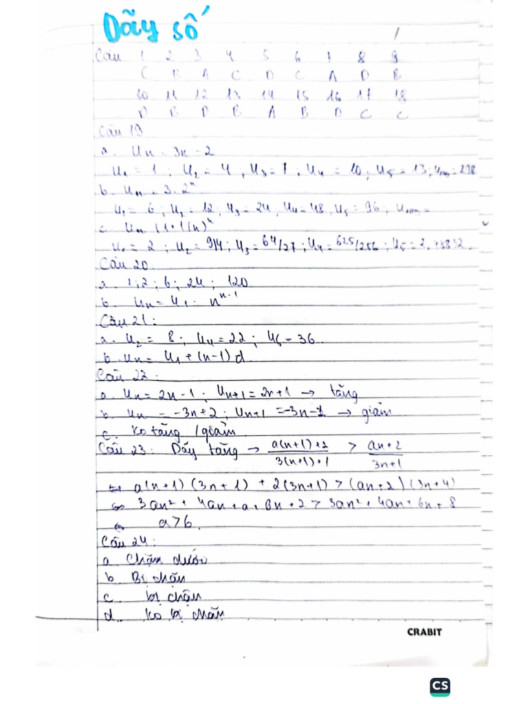 Thùy Dương 11G - CSC CSN | PDF