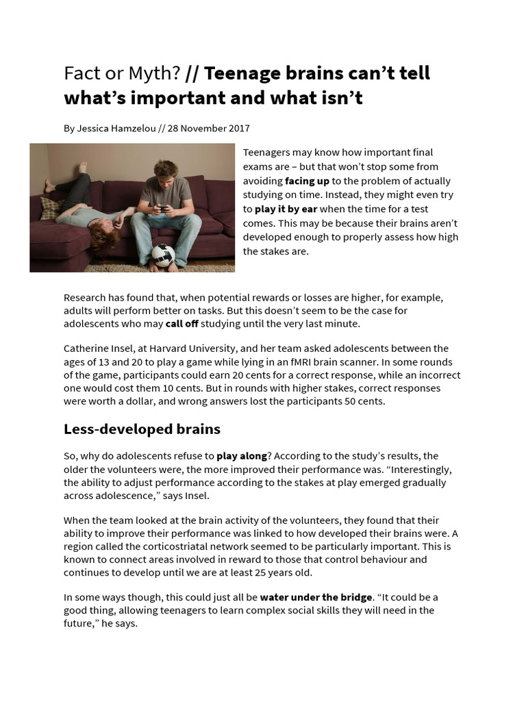 Teenage Brains | PDF