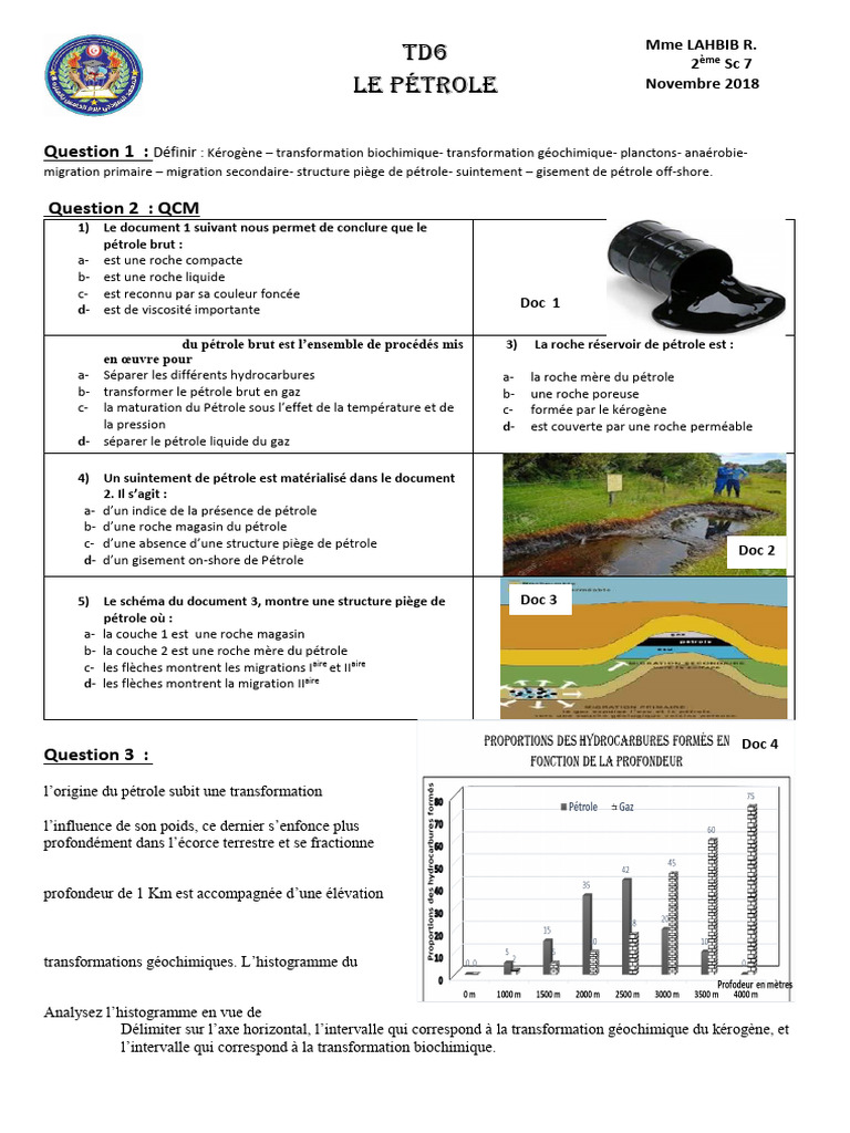 Comprendre le Pétrole et sa Formation | PDF | Pétrole | Matériaux