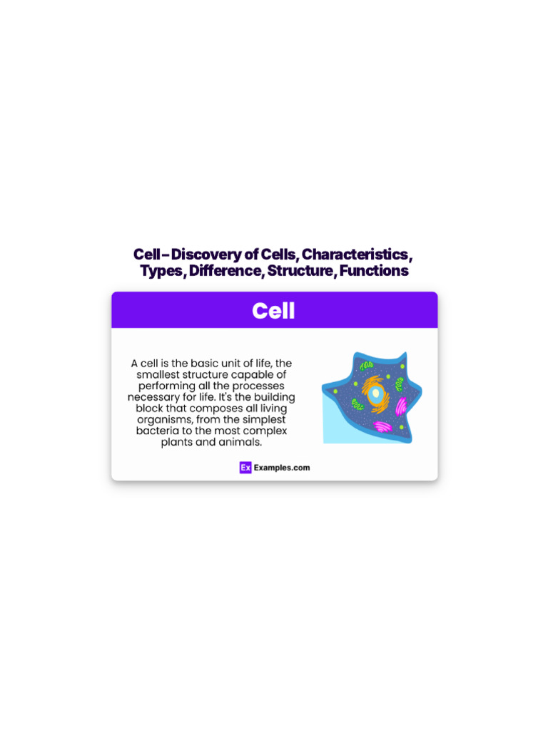 Cell - Discovery of Cells, Characteristics, Types, Difference, Cell ...