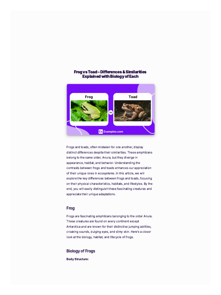 Frog Vs Toad - Differences & Similarities Explained With Biology of ...