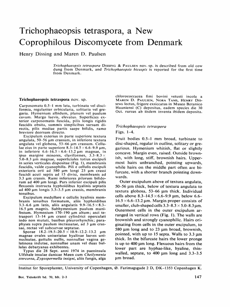 Trichophaeopsis tetraspora, a new coprophilous discomycete from Denmark ...