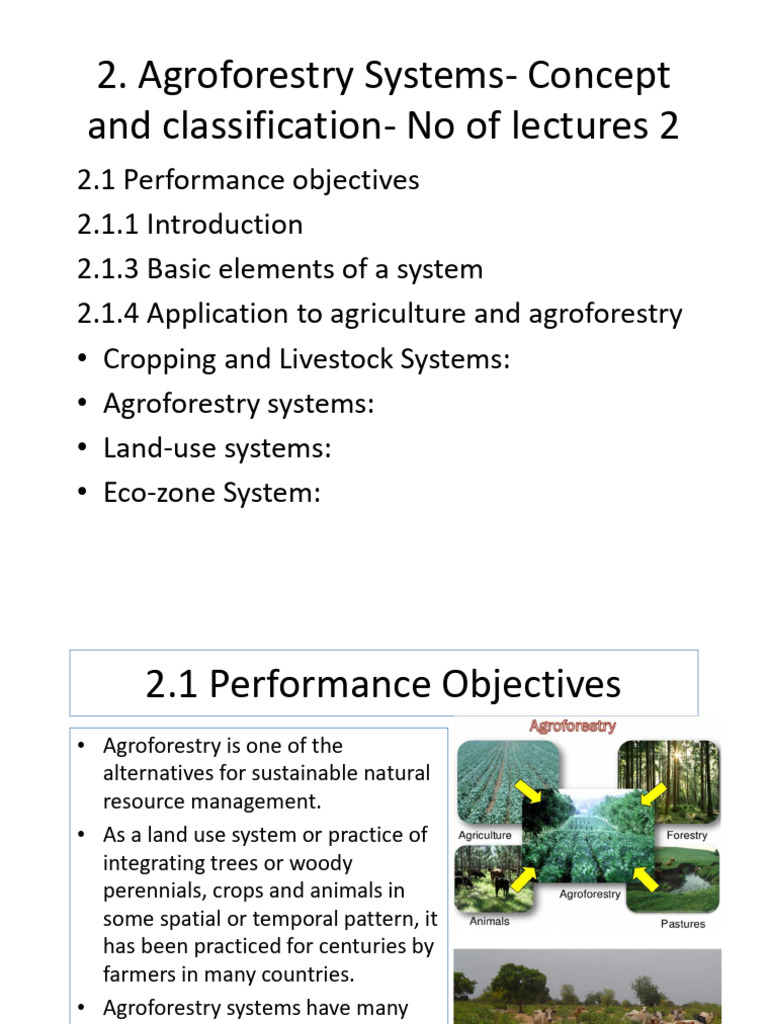 Agroforestry Systems: Concepts & Applications | PDF | Crop Rotation | Crops