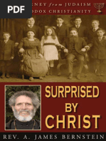 Wisdom of Father Zosima's Teachings | PDF | The Brothers Karamazov | Sin