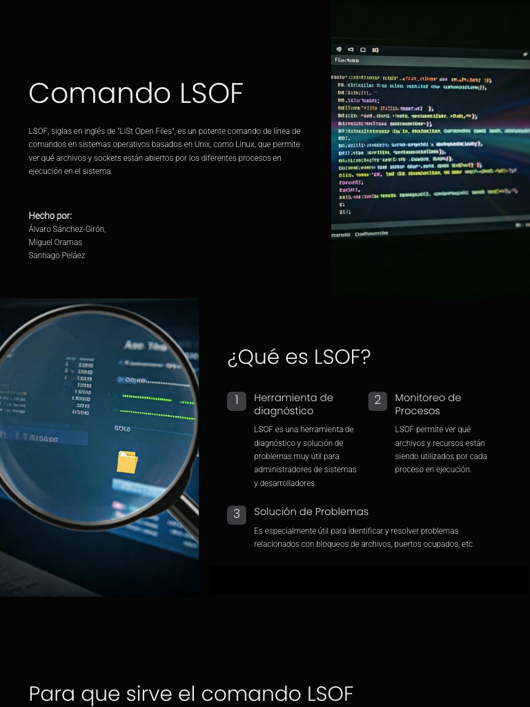 Comando-LSOF | PDF | Archivo de computadora | Proceso (Computación)