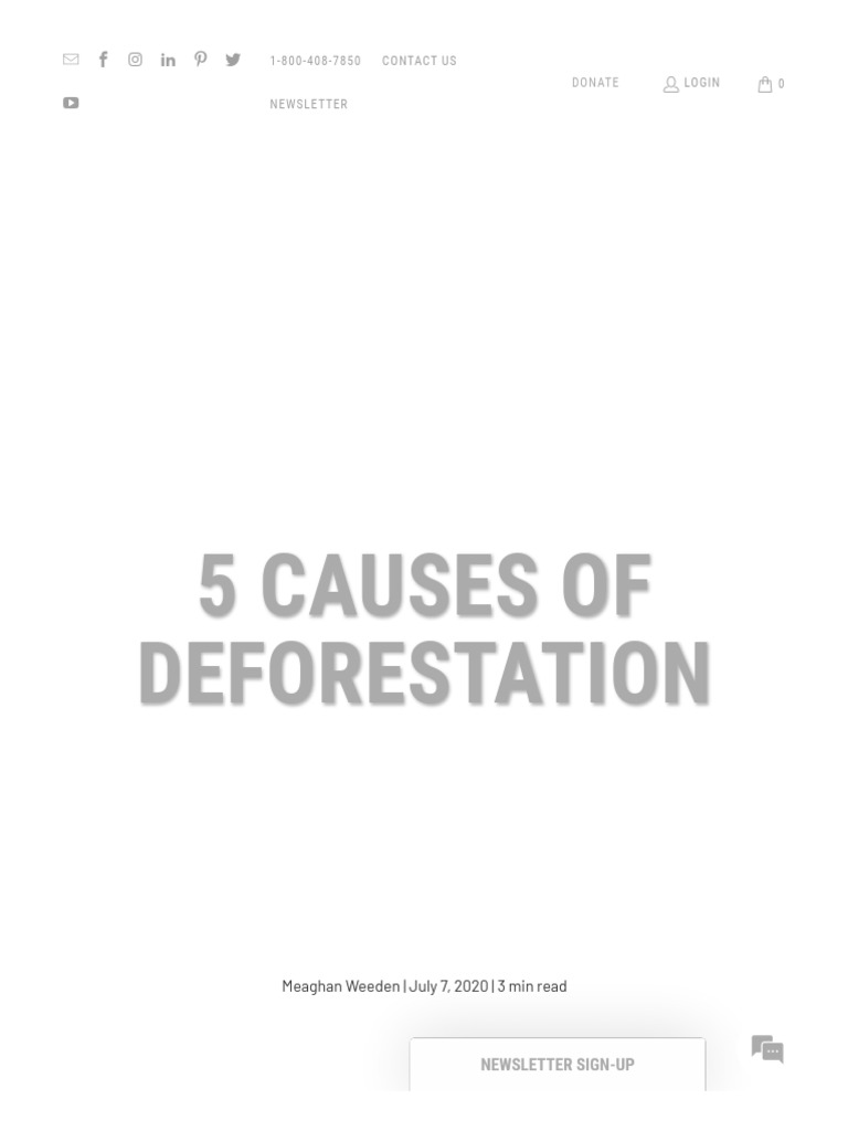 5 Causes of Deforestation - One Tree Planted | PDF | Deforestation ...