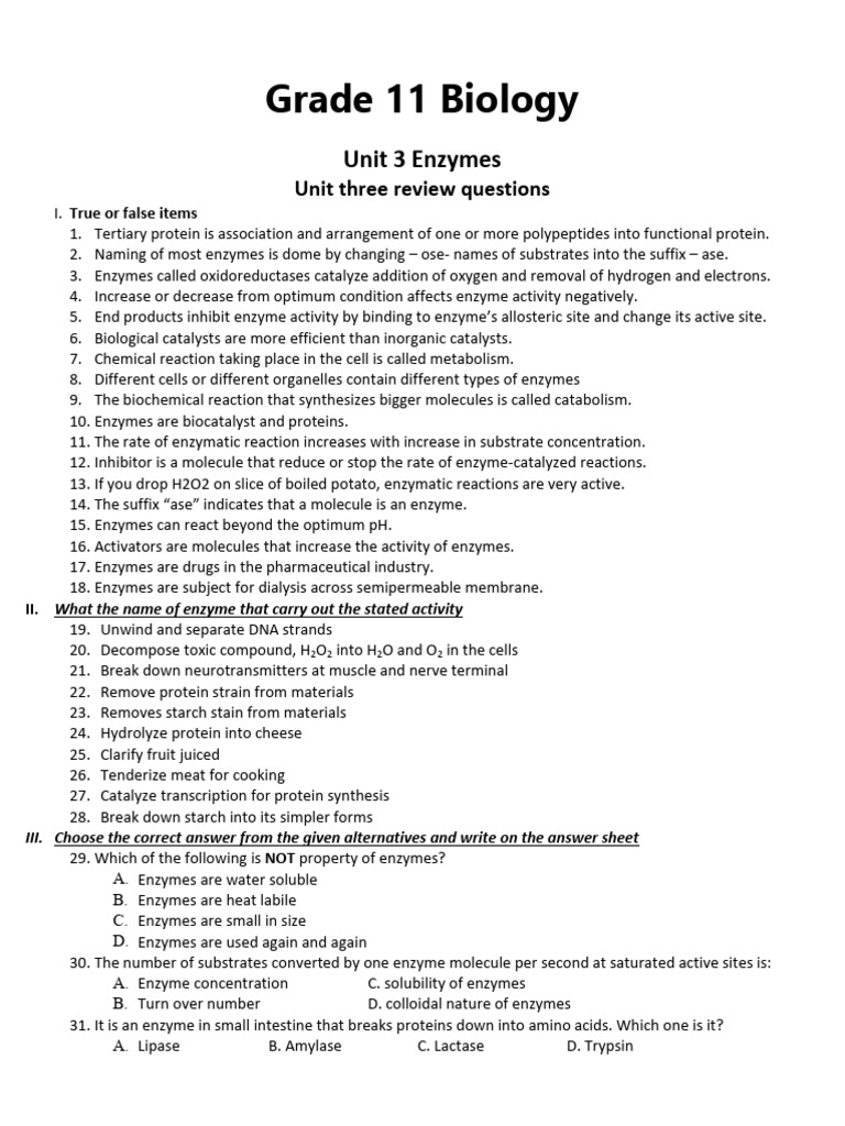 G11 Bio WS Unit 3 - Enzymes | PDF | Enzyme | Proteins