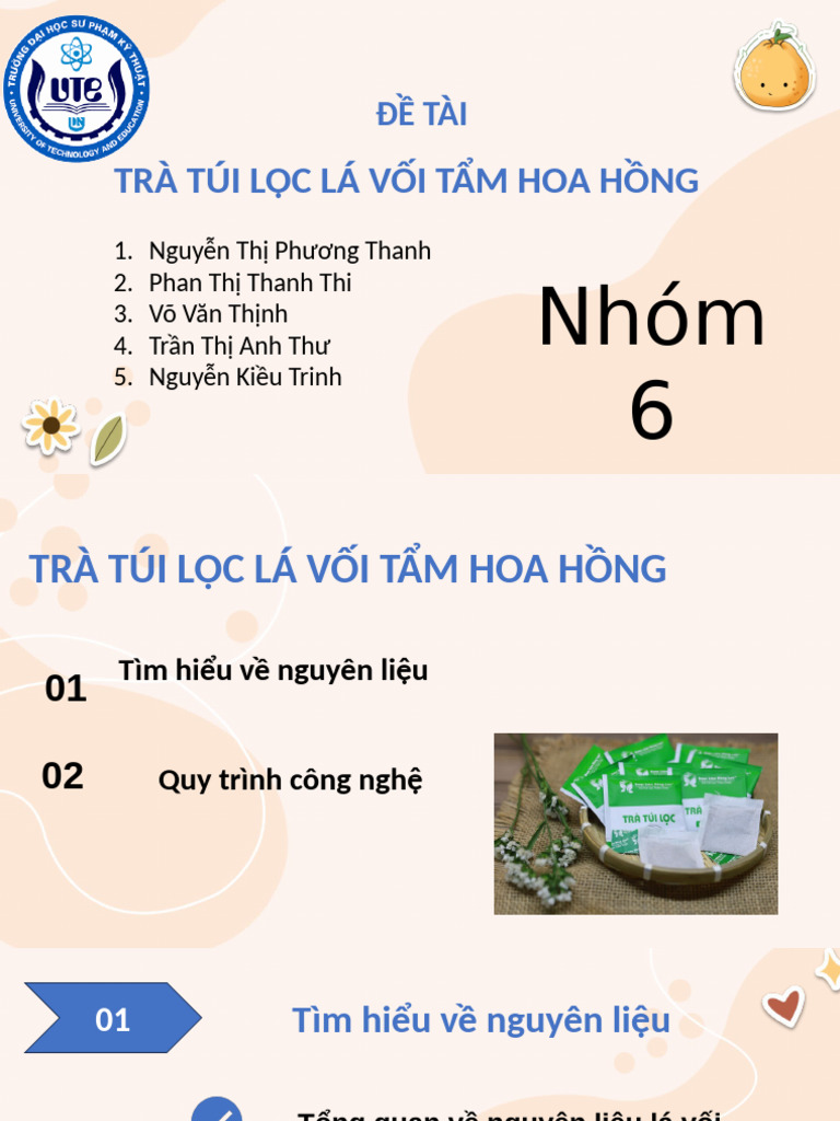 Nhom6_Tratuiloclavoitamhoahong | PDF