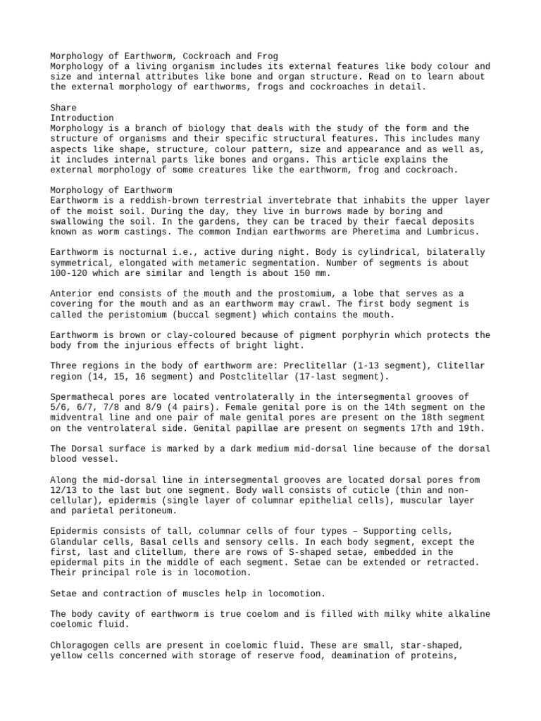 Cockroach and Frog | PDF | Zoology