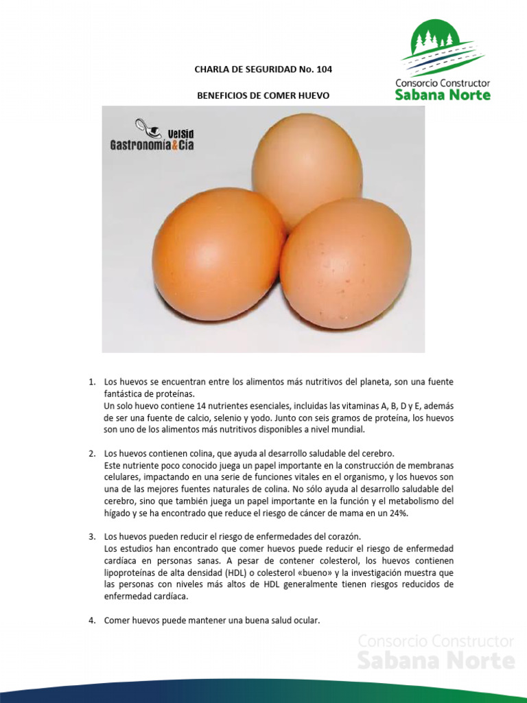 Charla 104 - Beneficios de Comer Huevo | PDF