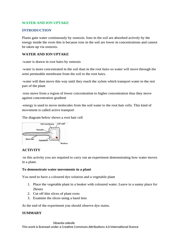 Biology - F 1 Transport in Plants - Water and Ion Uptake | PDF