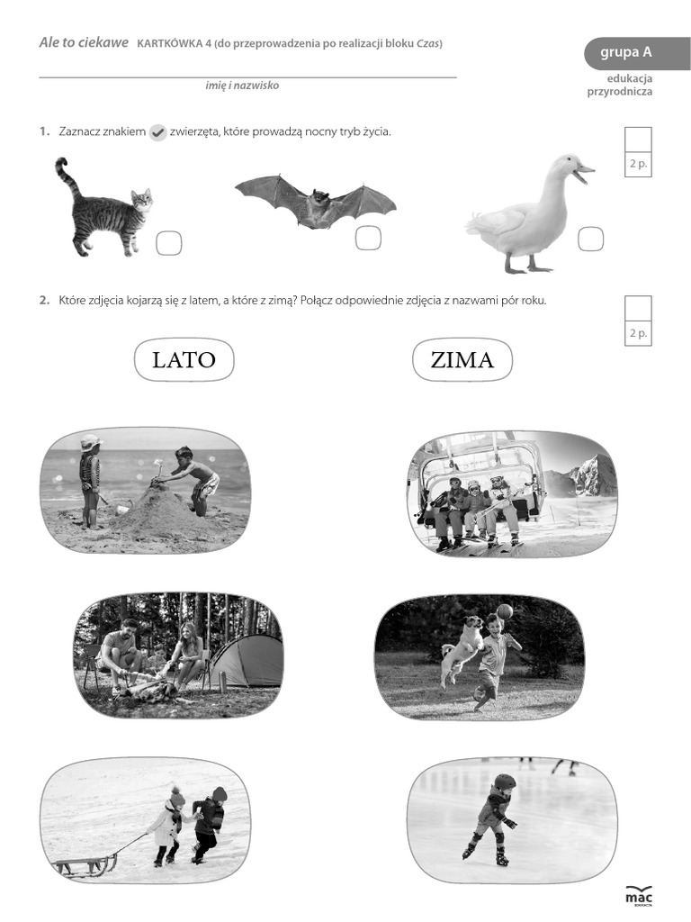 Kartkowka NR 4 Przyroda Grupa A | PDF