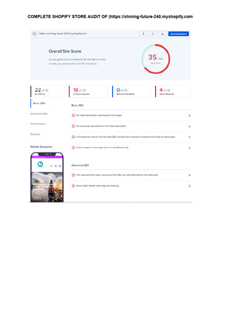 Shopify Store Audit Findings and Fixes | PDF | Brand | Search Engine ...