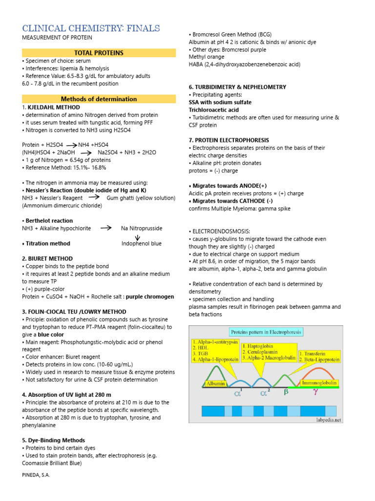 CC1_PROTEIN | PDF | Chemistry