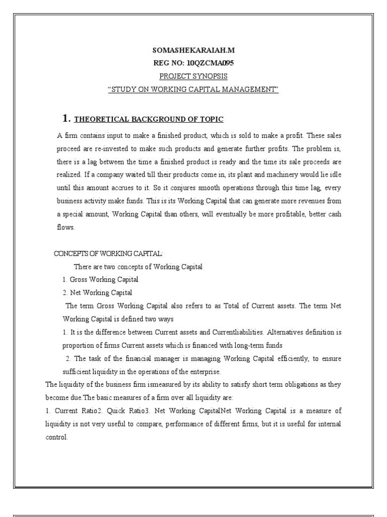 Project Synopsis 1 | Download Free PDF | Capital Structure | Working ...