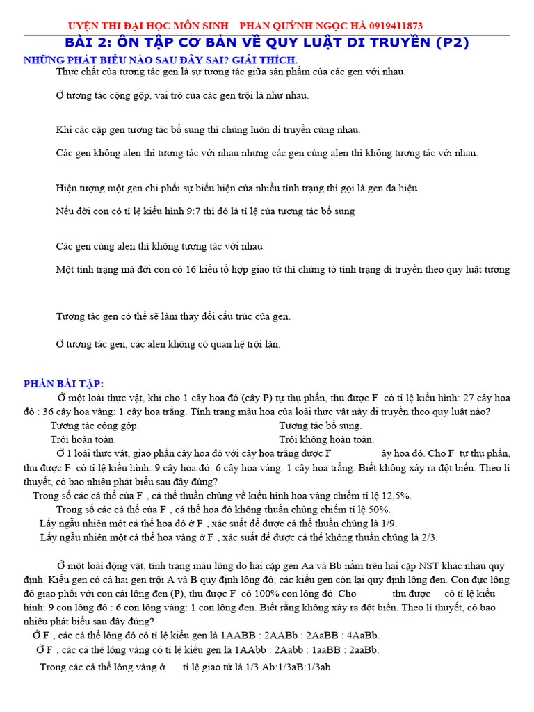 02. Ôn tập căn bản về QLDT P2PDF | PDF