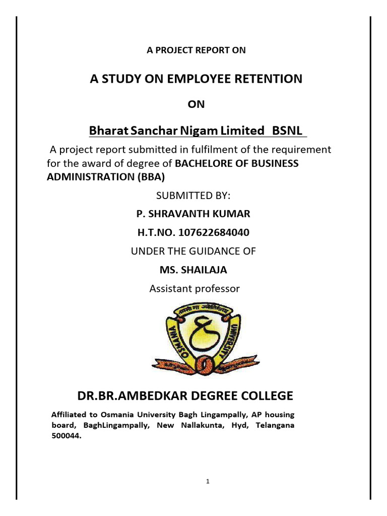 Shravanth Project Completed | PDF | Incentive | Employment
