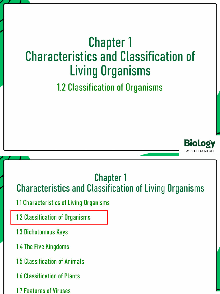 N 1 2 Classification Of Living Organisms Pdf