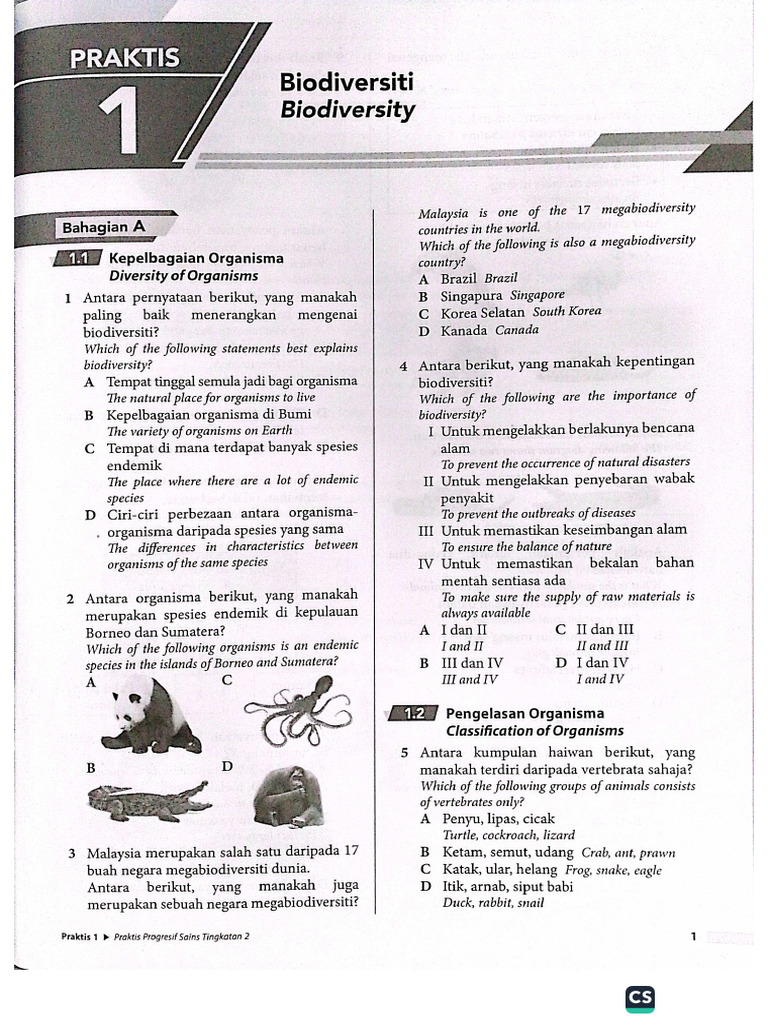 Chapter 1 Q Form 2 | PDF