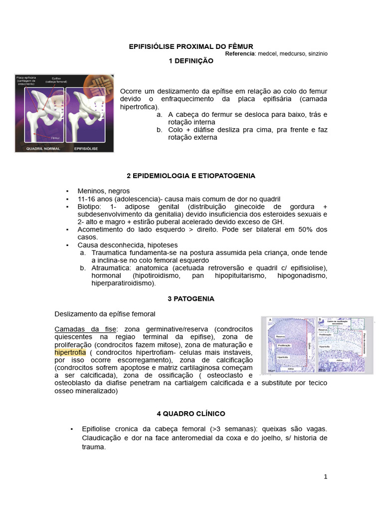 EPIFISIÓLISE PROXIMAL DO FÊMUR.docx | PDF | Tecido (Biologia) | Anatomia