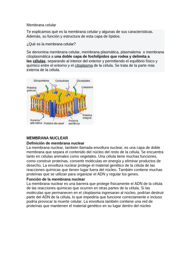 Membrana Celular | PDF