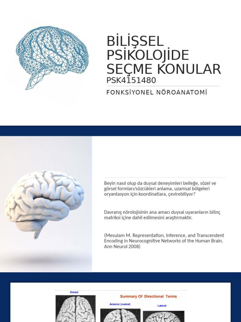 Bili%C5%9Fsel_Psikolojide_Se%C3%A7me_Konular_3 | PDF | Motor Neuron ...