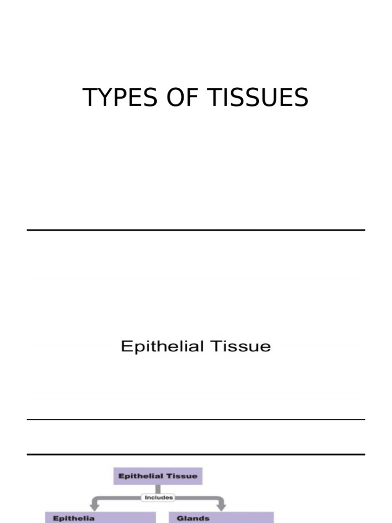 TYPES OF TISSUES | PDF