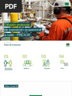 Protocolo Prexor Informe | PDF | ruido