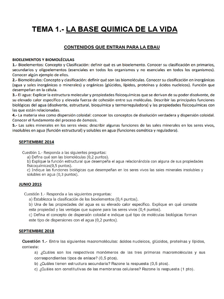 Preguntas Ebau Tema 1 | PDF