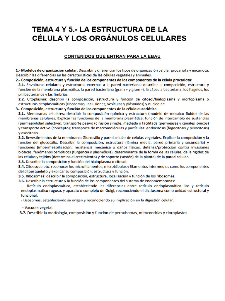 Preguntas Ebau Tema 4 y 5 | PDF