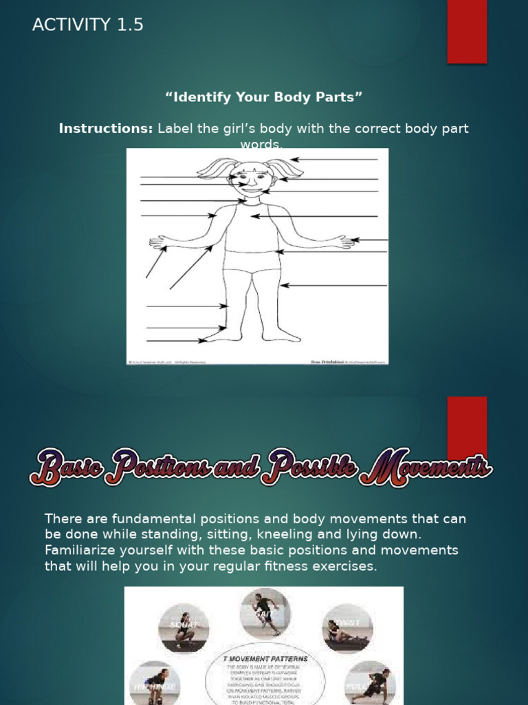 Lesson 6 Basic Positions and Possible Movements | PDF
