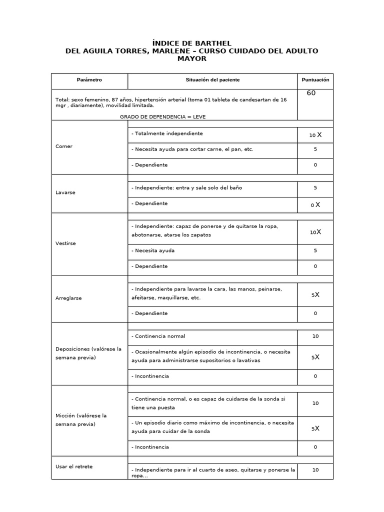 Evaluación Barthel: Dependencia en Adultos Mayores | PDF