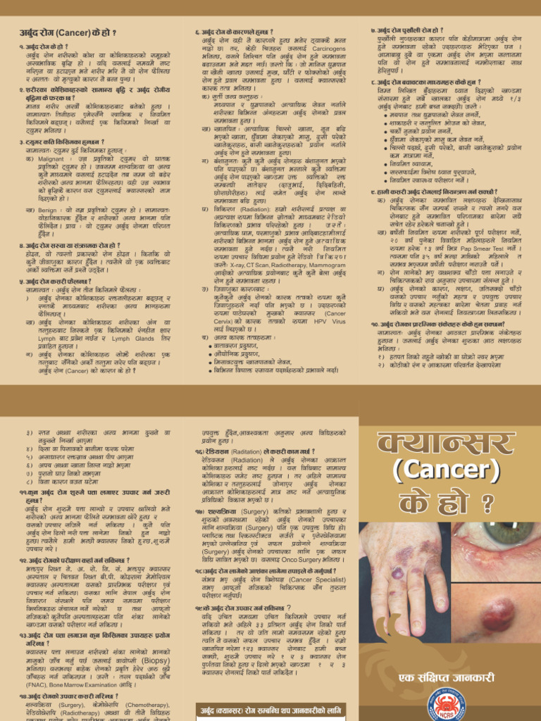 Z83 Cancer in General Brochure | PDF