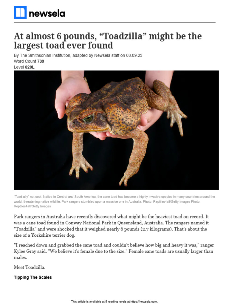 Toadzilla Largest Toad 2001035984 Article Only 2 | PDF | Frog | Amphibian