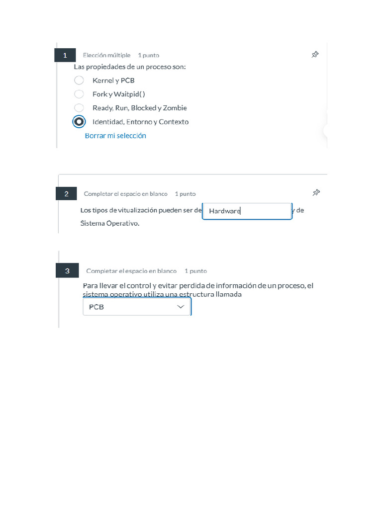 Primer Parcial SO2 | PDF
