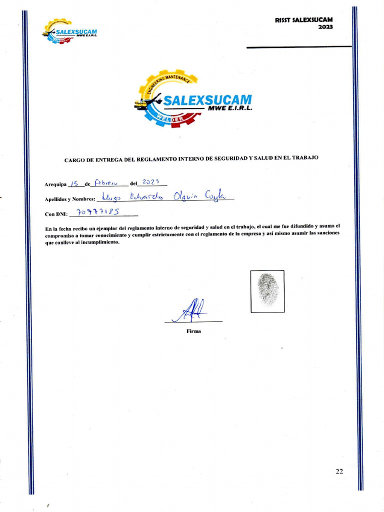 Cargo de Entrega de Risst 2023 | PDF