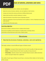 Tissue Fluid Formation in Capillaries | PDF | Lymph | Vein