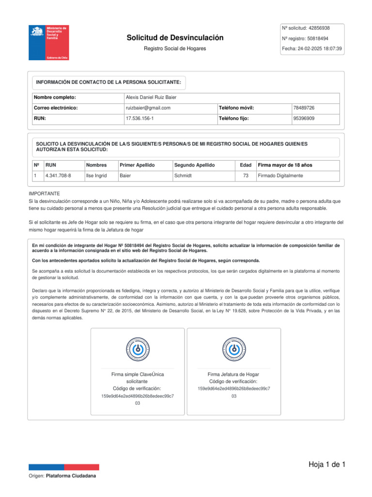 Formulario - 4 - 2025 02 24 180759 | PDF