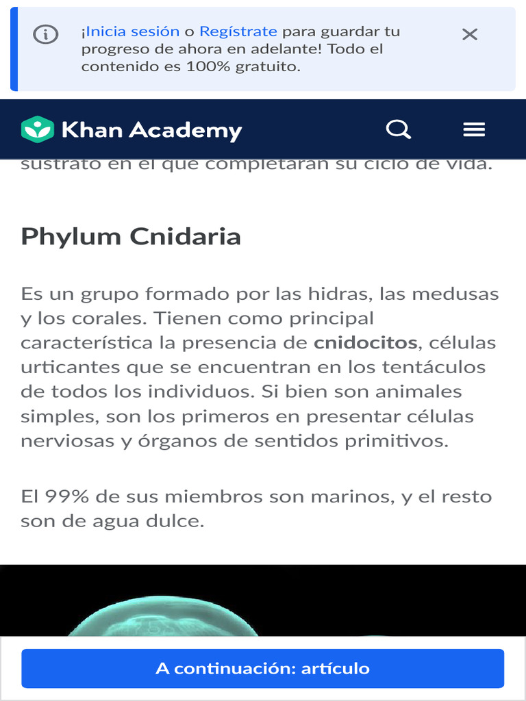 Phylum Cnidaria: Características y Hábitat | PDF