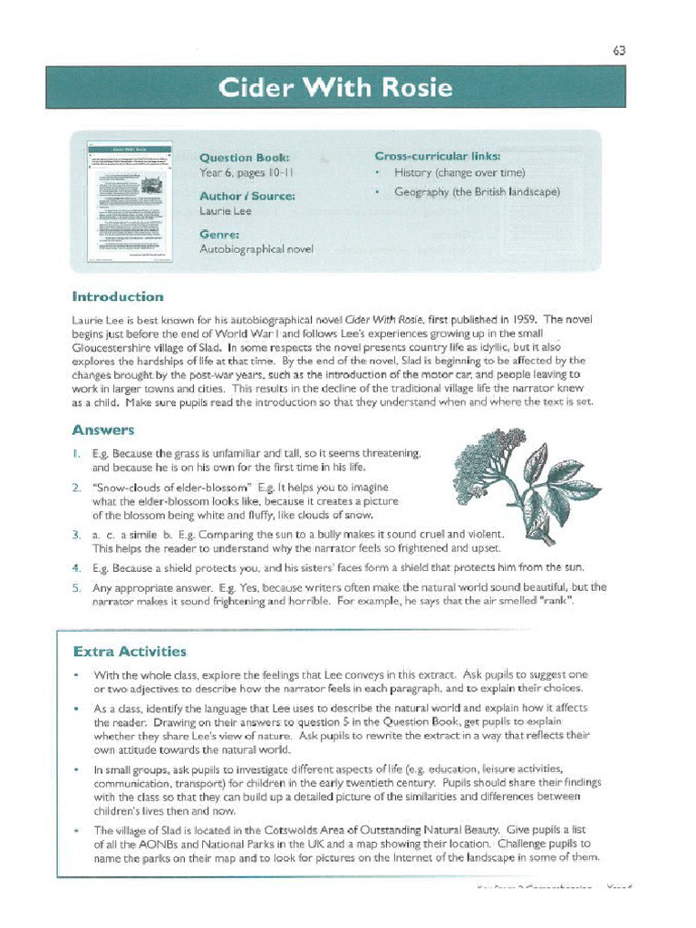 Task 5 Cider With Rosie | PDF