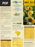 Folder Brasmax 2025 Sul | PDF | Plantas