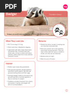 Mammals 2 | PDF | Beaver | Raccoon